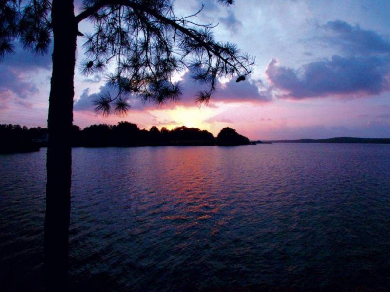 Your Best Weeklong Vacation!