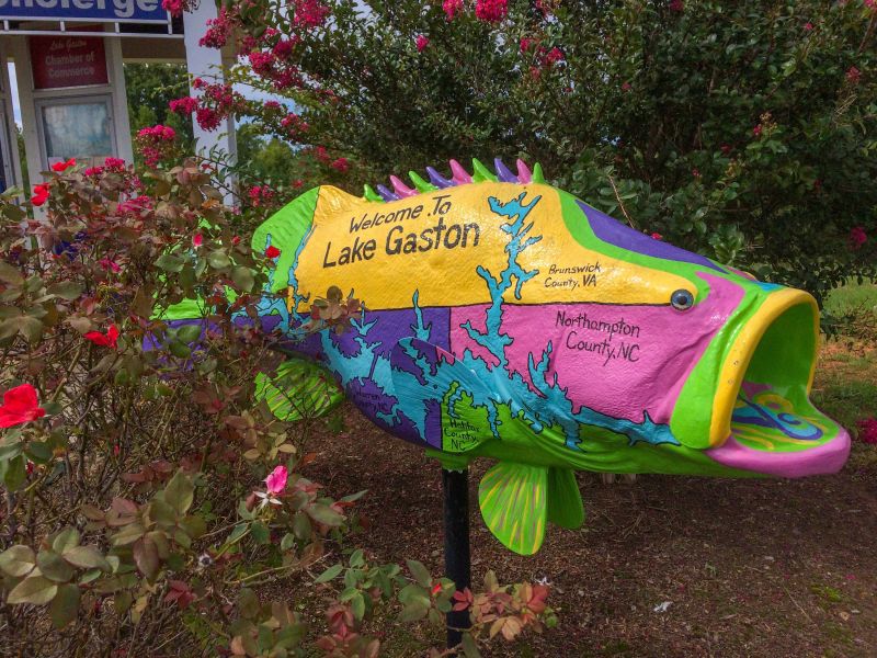 Lake Gaston's Rockfish