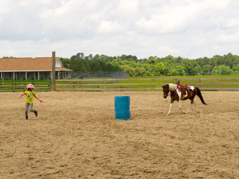 Halifax Fun Horse Show Series