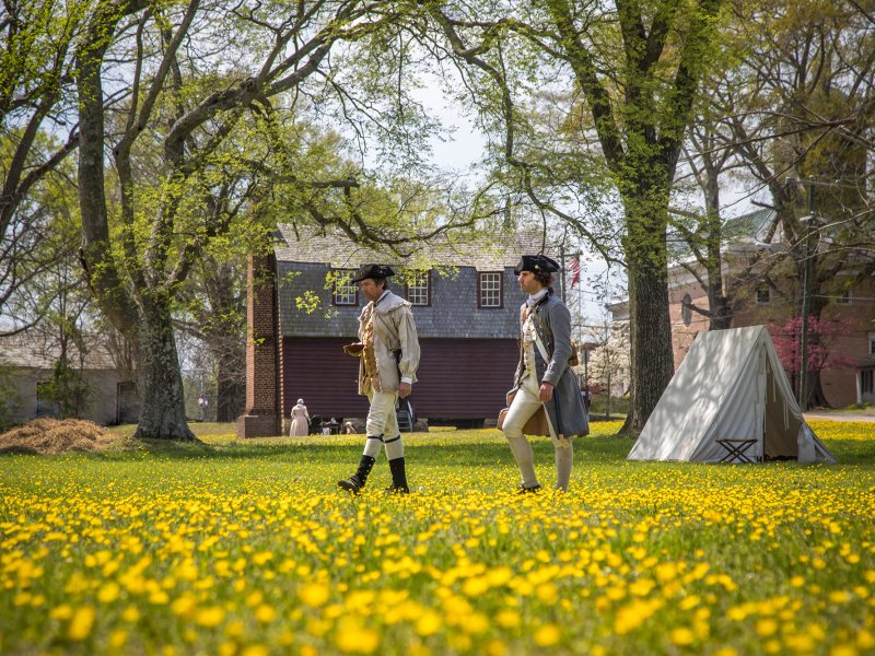Tour Historic Halifax - The Birthplace of American Independence