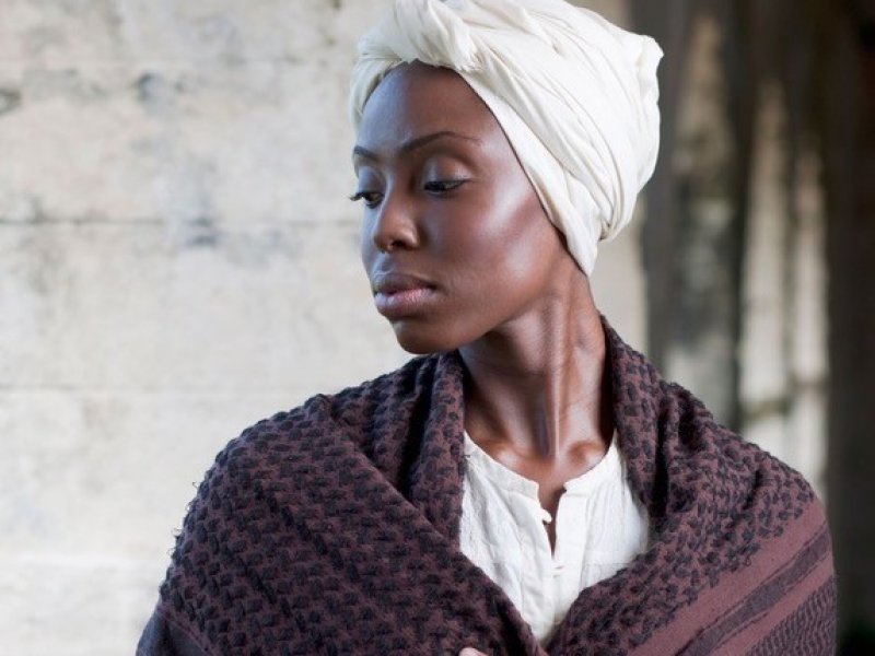 ⭐ How Fugitive Slaves and Their Stories Helped Win the War Against Slavery