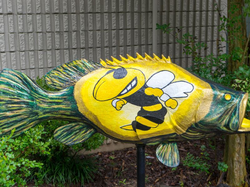 Chaloner Middle School’s Rockfish